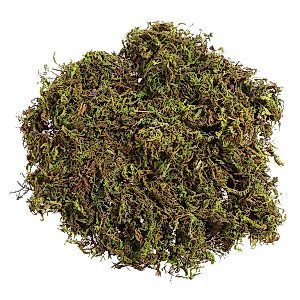 VOSAREA Artificial Moss Lichen Preserved Floral Decor Simulation Fake Green Plants for Home Garden Patio Succulents Crafts Dressing Potted Plants Fairy Garden Terrariums
