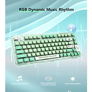 GK GAMAKAY GK75 75% RGB Transparent Gasket Mechanical Keyboard, Bluetooth/USB-C/2.4GHz 80 Keys Hot Swap Gateron Yellow Switch 2.0 KSA Profile PBT Keycaps Gaming Keyboard (Mint Green)