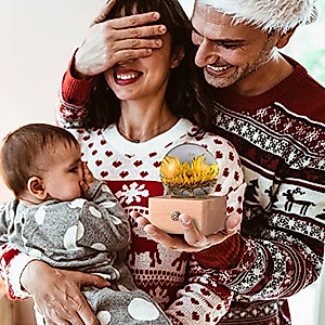 MISS LI GARDEN Night Light Dimmable Warm Light, Touch Sensitive Lamp for Home Bedrooms Dining Room Kitchen Living Room Bedside Farmhouse Country Style House Decoration(1.Sunflower)