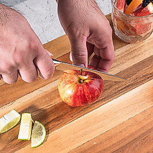 TJ POP Damascus Kitchen Utility Knife 5 Inch, Ultra Sharp Petty Chef Knife, Full-tang Knife, Japanese VG10 Steel Blade, Comfort Grip Non-slip G10 Handle