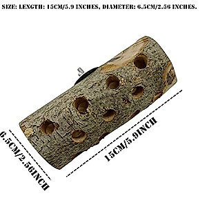 Shuoxpy Small Animal Natural Apple Wood Chew Toy, Guinea Pig Molar Apple Wood Treats for Chinchilla Guinea Pigs Rabbits Squirrel Hamster Bunny