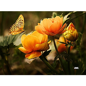 Yellow Butterfly Flower Kitchen Glass Cutting Board Decorative Gift For Mom Design