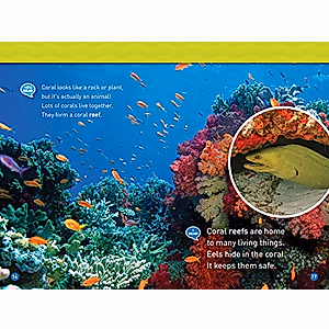 In the Ocean (National Geographic Kids Readers, Level 1/Co-Reader)