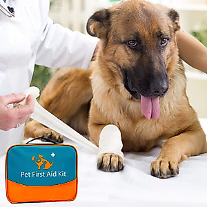 Pet First Aid Kit for Dog, Cat, Rabbit and Other Animal,with Thermometer, Syringe, Otoscope, Perfect for Home Care and Outdoor Travel Emergencies