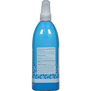 Method Antibacterial Bathroom Cleaner, Spearmint, Removes Mold + Mildew stains, 28 Fl Oz