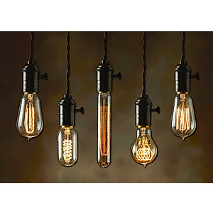 Bulbrite 134019 40W Nostalgic Edison Squirrel Cage-style Bulb
