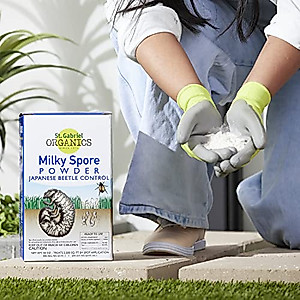 Milky Spore Japanese Beetle and Other Beetle Killer, 10 Ounce