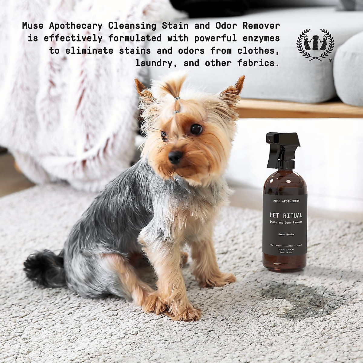 Muse Apothecary Complete Pet Stain and Odor Remover Enzyme Carpet Cleaner - Dog Stain Remover and Odor Neutralizer, Essential Oils Infused, Pet Stain Remover for Carpet - Pet Stain Carpet Cleaner 16oz