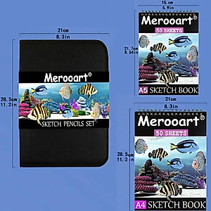 DIPAWS 54 Pack Drawing Set Sketching Kit, Pro Art Supplies with 2 Sketchbook, Include Colored, Graphite, Charcoal, Watercolor & Metallic Pencil, for Artists Adults Teens Beginner