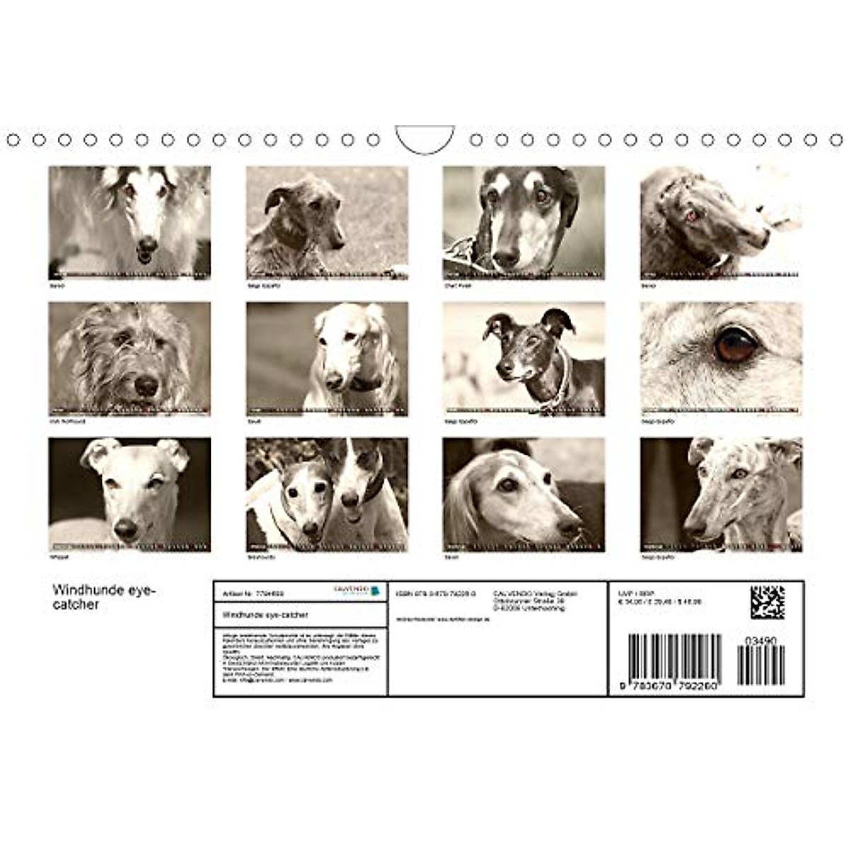 Windhunde eye-catcher (Wandkalender 2020 DIN A4 quer): Sepia-colorierte Fotos vom Galgo Español (Monatskalender, 14 Seiten )