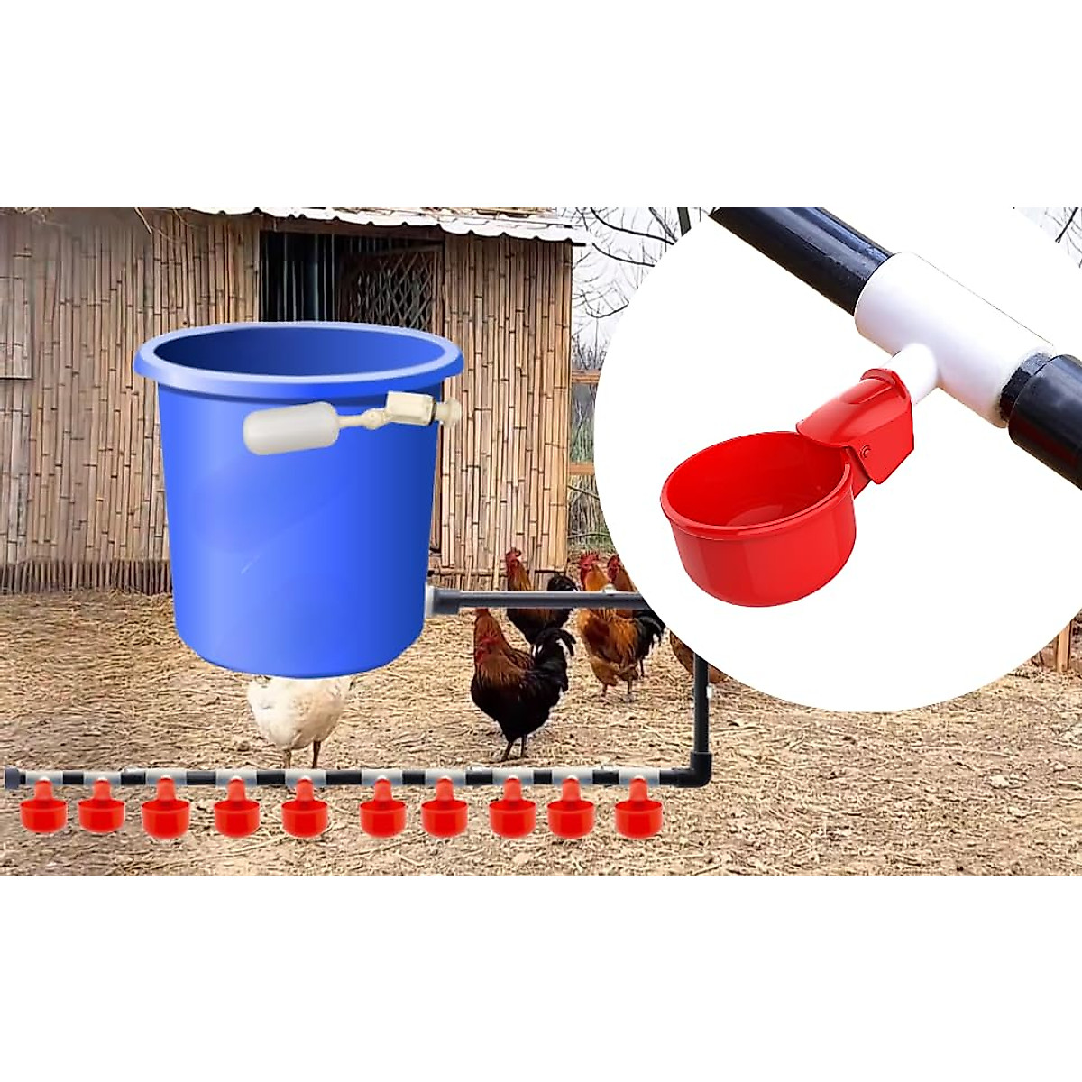 Complete Set of Chicken Waterer and 1/2" PVC T-Pieces, Chicken Waterer Feeder Duck Quail Feeder, Automatic Chicken Watering System, Chicken Nipple Water Cup, Chicken Watering Cups