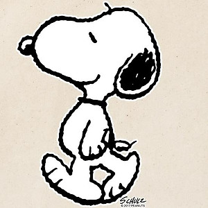 CafePress Peanuts Snoopy Canvas Tote Shopping Bag