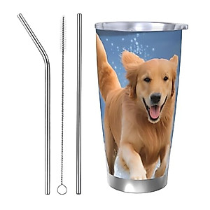 NHJKLWQSZ Golden Retriever Dogs 20oz Stainless Steel Tumbler With Lid And Straw, Double Wall Vacuum Insulated Coffee Mug Travel Cups Leak-Proof Lid For Hot And Cold Drinks, Metal Straws And Brush