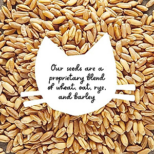 The Cat Ladies Cat Grass Kit (Organic) Complete with Rustic Wood Planter, Seed and Soil. Easy to Grow.