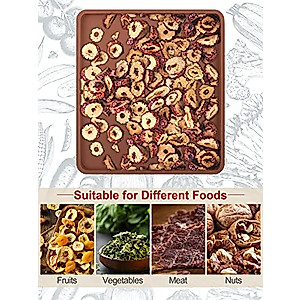 4PCS Silicone Dehydrator Mats with Edge - Silicone Sheets Compatible with Cosori CP267-FD, Nonstick Silicone Tray Liner, High Temperature Resistance Reusable for Fruits Meat Vegetables Herbs