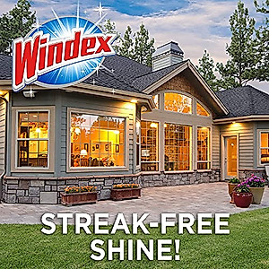 Windex mnh Outdoor Glass & Patio Cleaner, 3 Pack of 32 oz