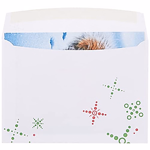 Avanti 10-Count Christmas Cards, Little Squirrel with a Candle