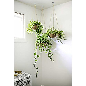 Pastlla 4Pcs Ceiling Hooks, Wall Mount Ceiling Metal Hooks Hanger Iron Bracket Hooks for Hanging Plants Flowerpots Lanterns Decoration Lights, for Indoor & Outdoor Use 2.17" (White)