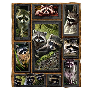 ChriHome Flannel Blanket 3D Raccoon Blanket Soft Cozy Plush Bed Sofa Throw Blanket Air Travelling Blanket,Air Conditioning Blanket for Kids and Adult (3D Raccoon, 80'' x 60'')