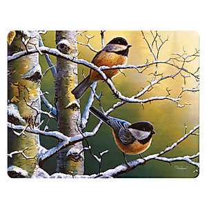 Rivers Edge Products Large 12in x 16in Decorative Tempered Glass Cutting Board, Hypoallergenic, Non Slip, Textured Surface Chopping Board for Kitchen, Cute Birds for Bird Watcher, Chickadee