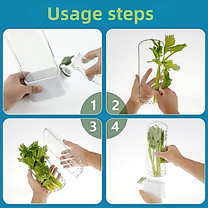 STARNOONTEK Cilantro Fresh Containers,Large Capacity Vanilla Preserver for Mint And Asparagus For Refrigerator Organizers And Storage,Storage Clear for Mint Leaves Fresh Herb Keeper