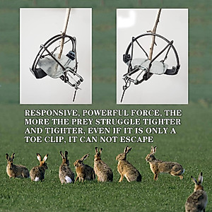 𝐚𝐧𝐢𝐦𝐚𝐥 𝐭𝐫𝐚𝐩 2 Packer Outdoor Spring Trap Easy Set Weather-Resistant Outdoor Durable Reusable Trap Solid Metal Outdoor Trap for Home & Yard & Garden… (5in - 2 Packer)