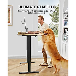 ErGear Height Adjustable Electric Standing Desk, 48 x 24 Inches Sit Stand up Desk, Memory Computer Home Office Desk (Vintage Brown)