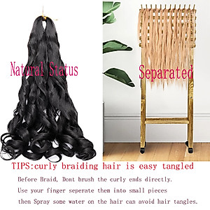 8 Packs French Curly Braiding Hair 24 Inch Loose Wave Spiral Curly Crochet Hair for Black Women Pre Stretched Braiding Hair with Curly Ends (24 Inch, 1B)