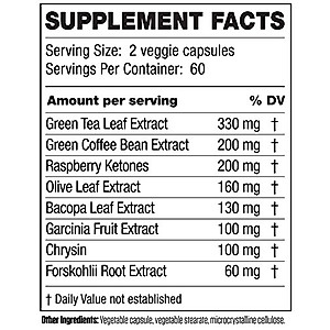 INVIGOR8 Superfood Shake (French Vanilla) Whey Protein Shake + Collagen Peptides + Fatburner Bundle