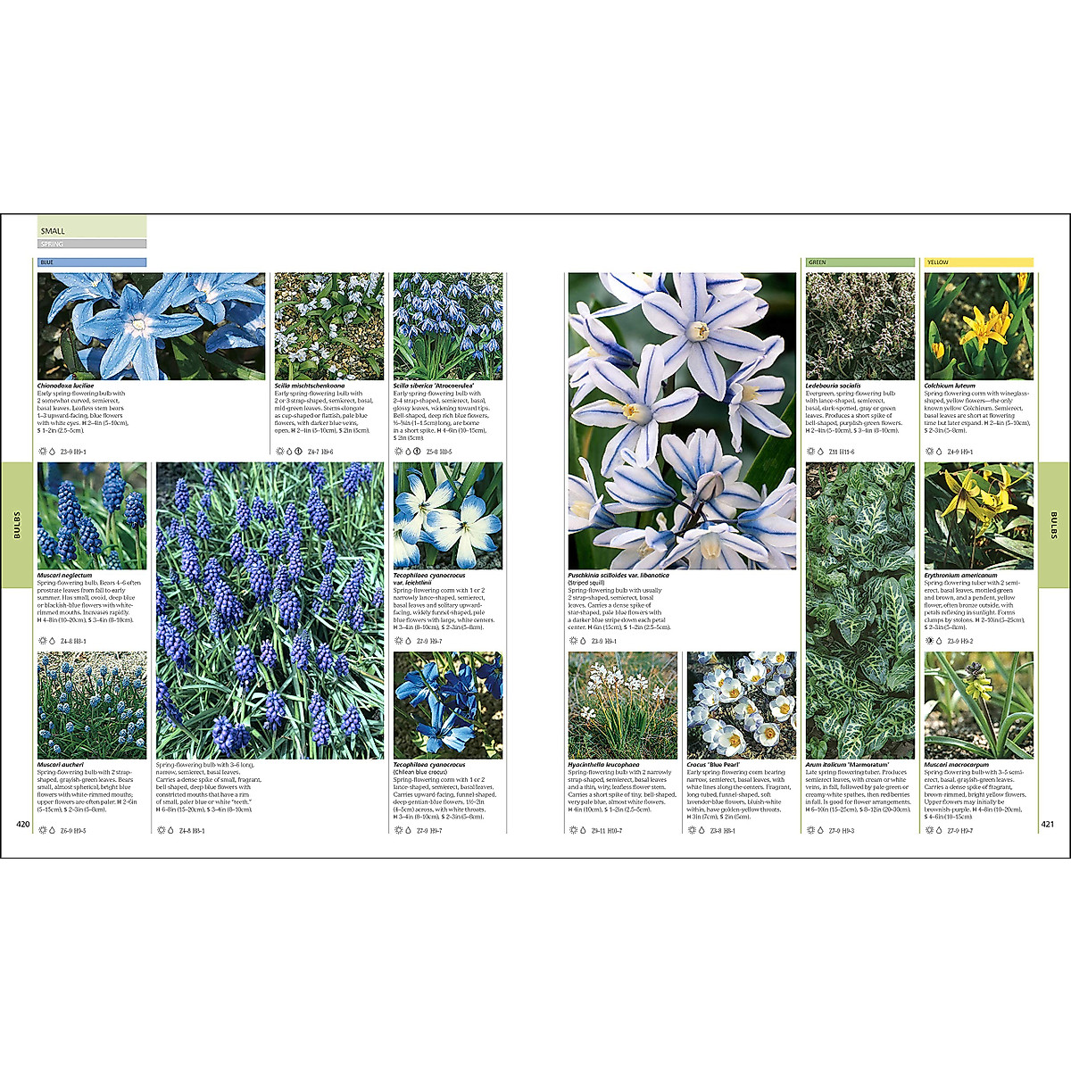 Encyclopedia of Plants and Flowers