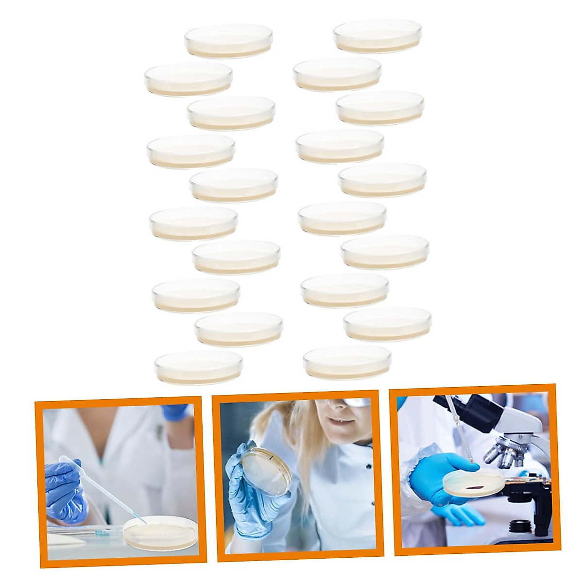 FELTECHELECTR 20 Pcs Petri Dish Agar Prepoured Nutrient Plates for Science Lab Experiment Accessories