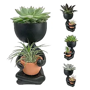 Zen Harmony Planter - Live Plants in a Decorative Pot - Cactus | Succulent | Air Plant - A Symbol of Serenity and Natural Beauty