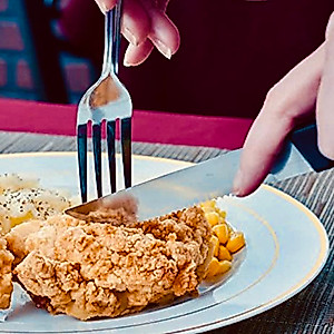 Tezzorio (Set of 12) Serrated-Edge Pointed-Tip Steak Knives, 5-Inch Stainless Steel Blade Steak Knives with Plastic Handles for Restaurants