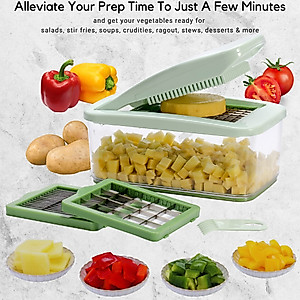 Brieftons QuickPush Food Chopper: Vegetable Chopper Dicer Slicer, Onion Chopper Vegetable Cutter, 3 Extra-Large Blades with 200% More Cutting Area to Chop Dice Slice Vegetables, 2.6-Quart Container