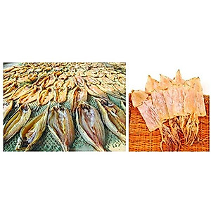 Food Dehydrator 5 Tray Hanging Drying Net / Non Electric / For Drying Herbs , Fruits , Vegetables , Fish (17.7 x 17.7 x 39.3 inches, Blue)