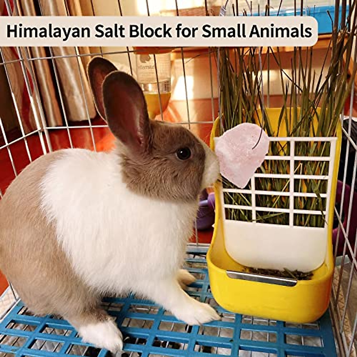 BNOSDM 12 Pack Small Animals Himalayan Salt Licks Set, 6 Rabbit Mineral Salt Blocks and 4 Hamster Teeth Grinding Stones Natural Bunny Chew Treat Toys for Rats Guinea Pigs Ferrets Chinchillas