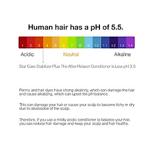 STAR CARE Stabilizer Plus The After-Relaxer Conditioner With Penetrating Foaming Action Approximate pH. 3.5 (4oz)