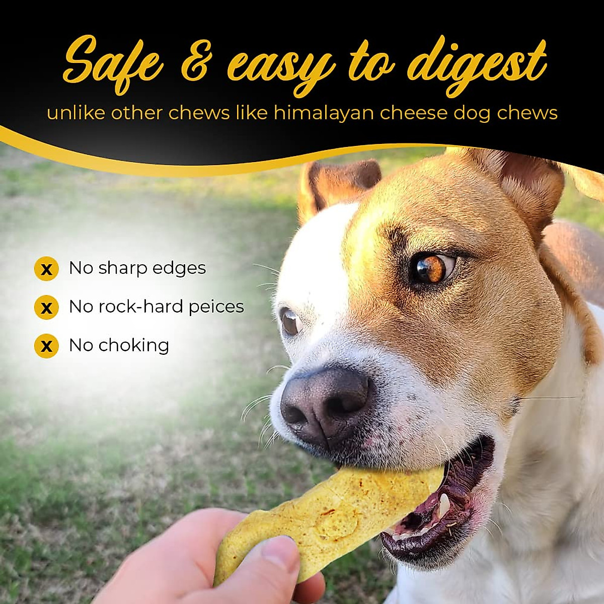 Cheesy100 Cheese Dog Chews| US-Crafted for Puppies & Dogs |6oz (3 pcs)| Softer Natural Alternative to Himalayan Dog Chews & Yak Chews| Salt & Rawhide-Free| Tastier Than Yak Cheese Himalayan Dog Chews