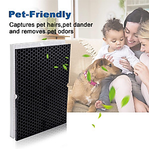 Flintar 116130 True HEPA Replacement Filter H, Compatible with Winix 5500-2 Air Purifier, Premium H13 Grade True HEPA and Washable Advanced Carbon Filter, Part # 116130, H Filter, 2-Pack