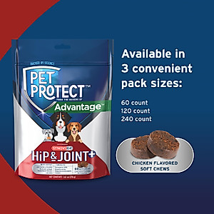 Pet Protect from The Makers of Advantage Vet-Formulated Hip & Joint+ Supplement for Dogs | 60 Chews