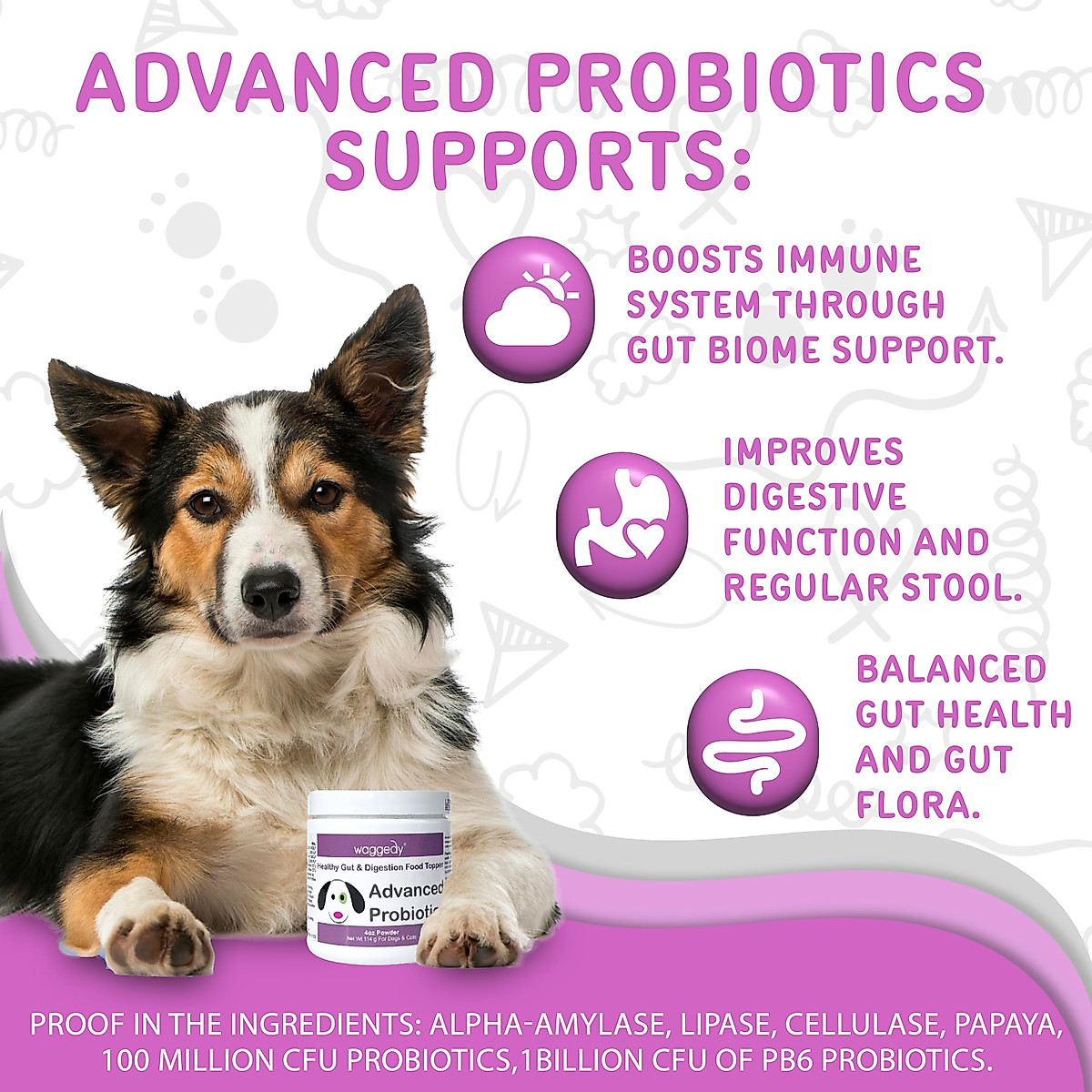 waggedy Advanced Probiotics Gut & Digestion Food Topper — Digestive Enzymes w/Papaya — Probiotic Powder — Dog Supplement Powder — Products for Dogs Over 6 Weeks (114g)