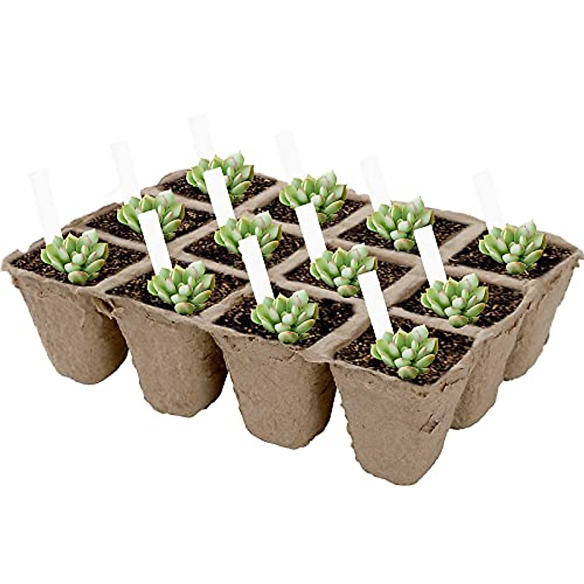 Jucoan 40 Pack Peat Pots Seed Starter Trays, 480 Cells Germination Seedling Pots, Organic Biodegradable Plant Germination Tray with 40 Plant Labels for Vegetable Flower, Herbs, Indoor Outdoor Garden