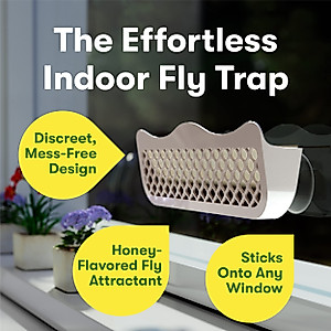 BugMD Barfly - Window Fly Traps (2 Pack) - Window Fly Paper Trap for Indoor, Window Fly Strips/Tape for Home, Fly Catcher/Control