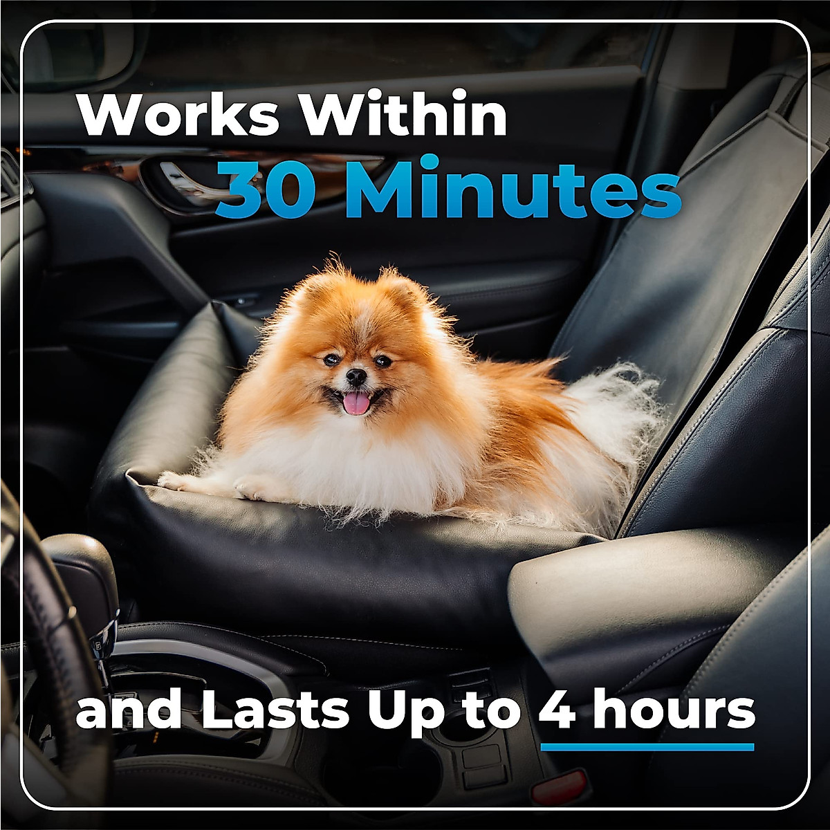 VETRISCIENCE Composure Calming Treats for Small Dogs Dealing with Anxiety, Separation Stress, Noise, Thunder and Barking - Yummy Flavored Chews Pets Love, 30 Chews