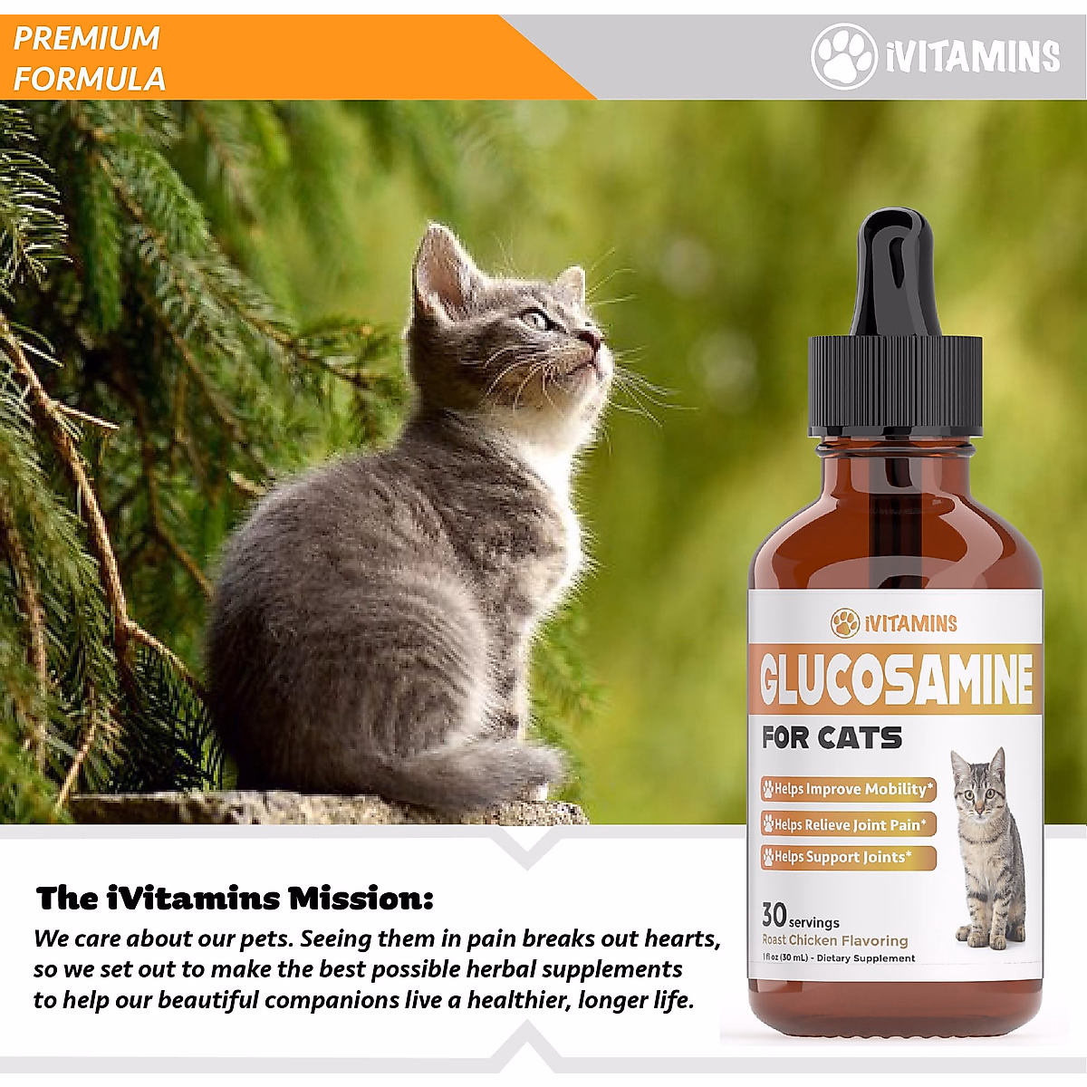 Glucosamine for Cats | Cat Glucosamine | Glucosamine for Cats Liquid | Cat Joint Supplement | Joint Supplement for Cats | Cat Joint Pain Relief | Joint Support for Cats | 1 fl oz: Chicken Flavor