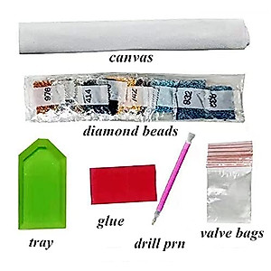 NIHO-JIUMA Diamond Painting Kits Angel Wings Girl, 5D Full Drill Diamond Art Kits Painting Gifts for Adult, Home Decor (12x16 Inches)