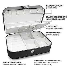 Zoe sunny small jewelry box - mini jewelry box - Women travel jewelry case, Portable small jewelry organizer for Rings Earrings Necklace, Gifts for Girls Women (Black)