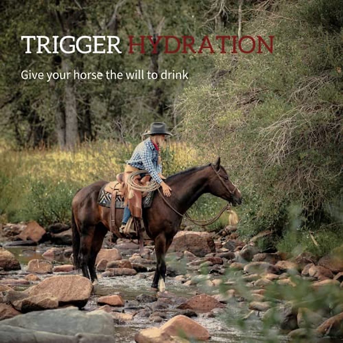 Redmond Equine Electrolyte Paste | Electrolytes Supplement for Horses