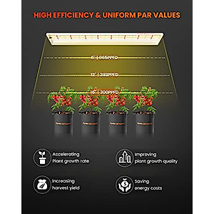 SPIDER FARMER SF-600 LED Grow Light 2x4 ft Coverage Sunlike Full Spectrum Plant Growing Lamp for Indoor Plants Hydroponics Seeding Veg Flower Energy Saving & High Efficiency Grow Lights 384 Diodes