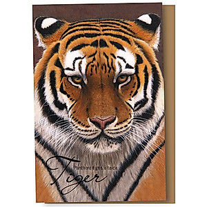 Tree-Free Greetings EcoNotes 12 Count Siberian Tiger All Occasion Notecard Set with Envelopes, 4 x 6 Inches (FS66732)